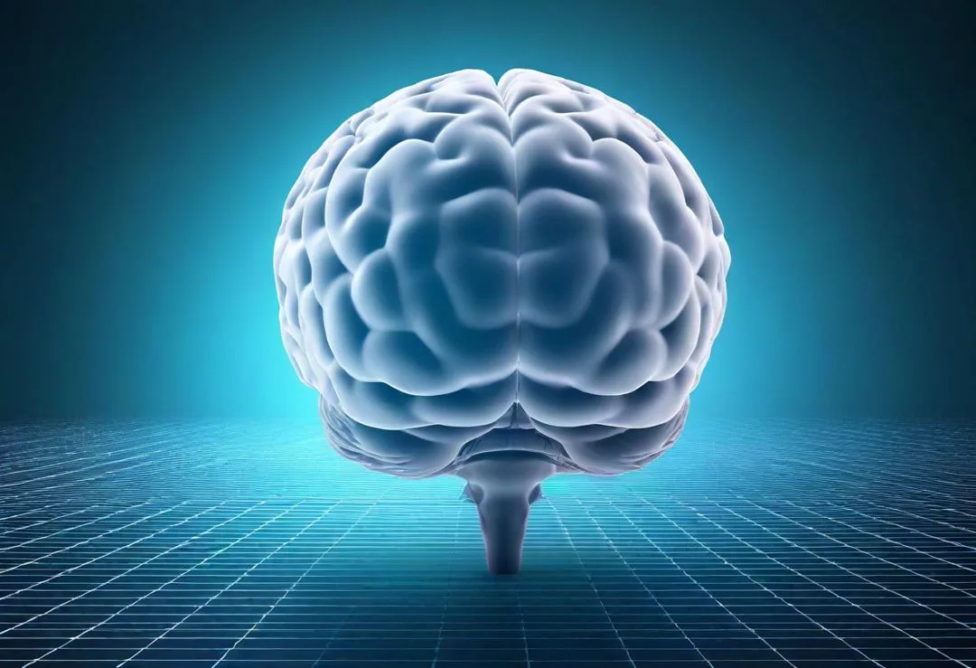 How the Brain Learns to Read: A Tour Through the Reading Brain ...